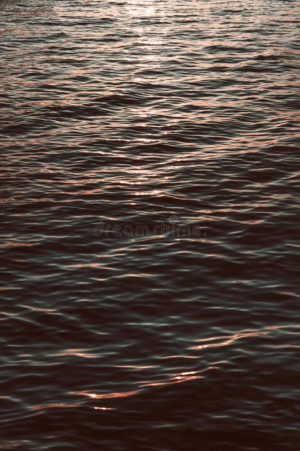 Vertical Shot of the Sea at Sunset, with Ruffled Waves Creating a ...