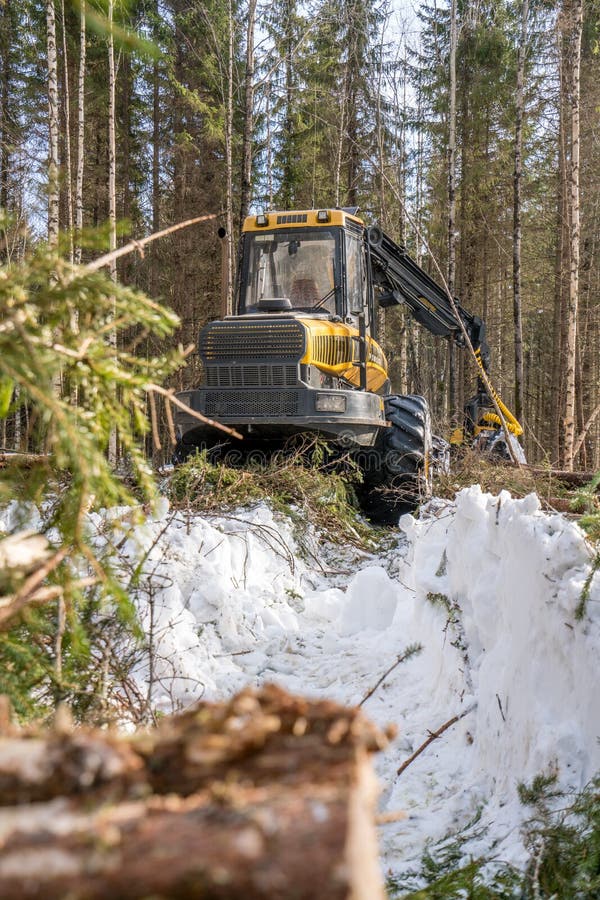Vertical Photo of Logger in Winter Forest Stock Image - Image of loader ...