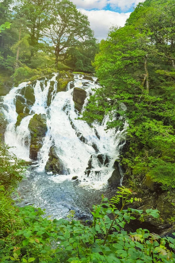 Vertical Photo with a Powerful Stream with a Small Waterfall in a ...