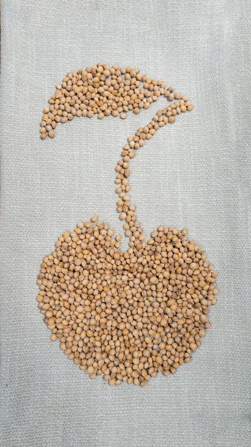 A Vertical Photo Shows a Cherry Shape Made of Kernels on Textured ...