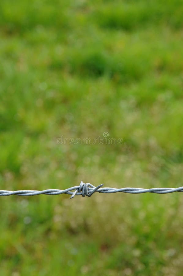 Vertical Picture of Barbed Wire in Meadow Stock Image - Image of ...