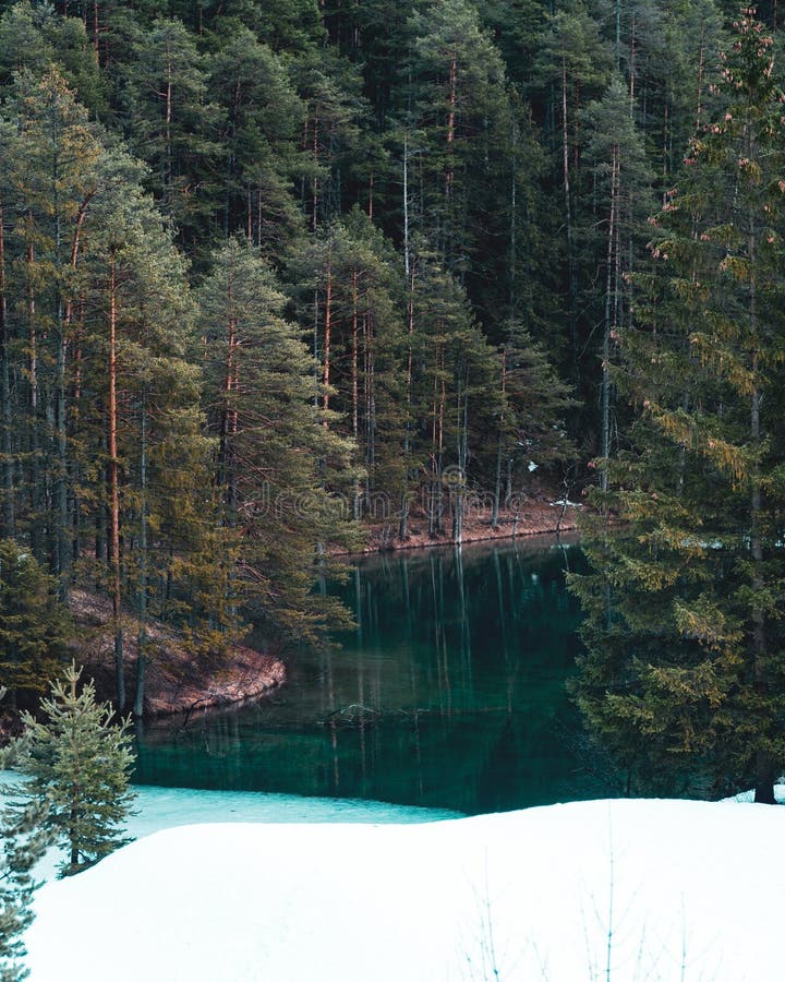 Vertical Picture of a Half-frozen Lake Surrounded by a Forest with ...