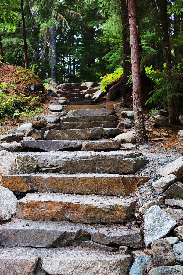 Vertical Picture of Stepping Stone Steps in a Forest Area Stock Photo ...