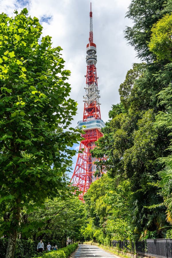 Vertical Picture of the Tokyo Tower Surrounded by Greenery Under a ...