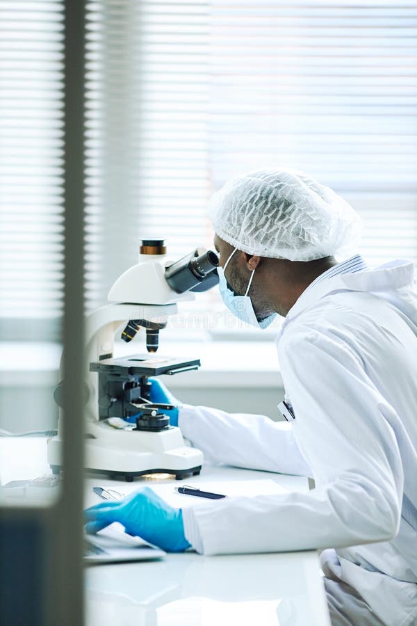 Male Scientist Using Microscope in Lab Stock Image - Image of cure ...