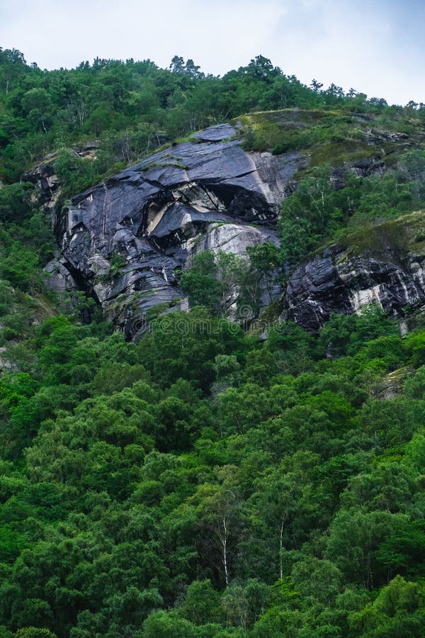Vertical Realistic View of Powerful Waterfall Falling from Mountains in ...