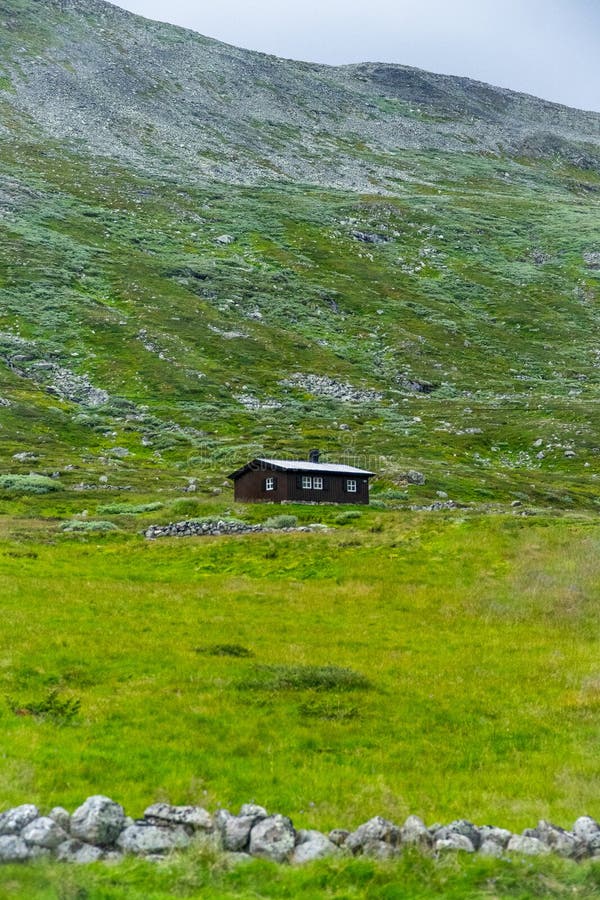 Vertical Realistic View of a Single House on a Mountain in Summer ...