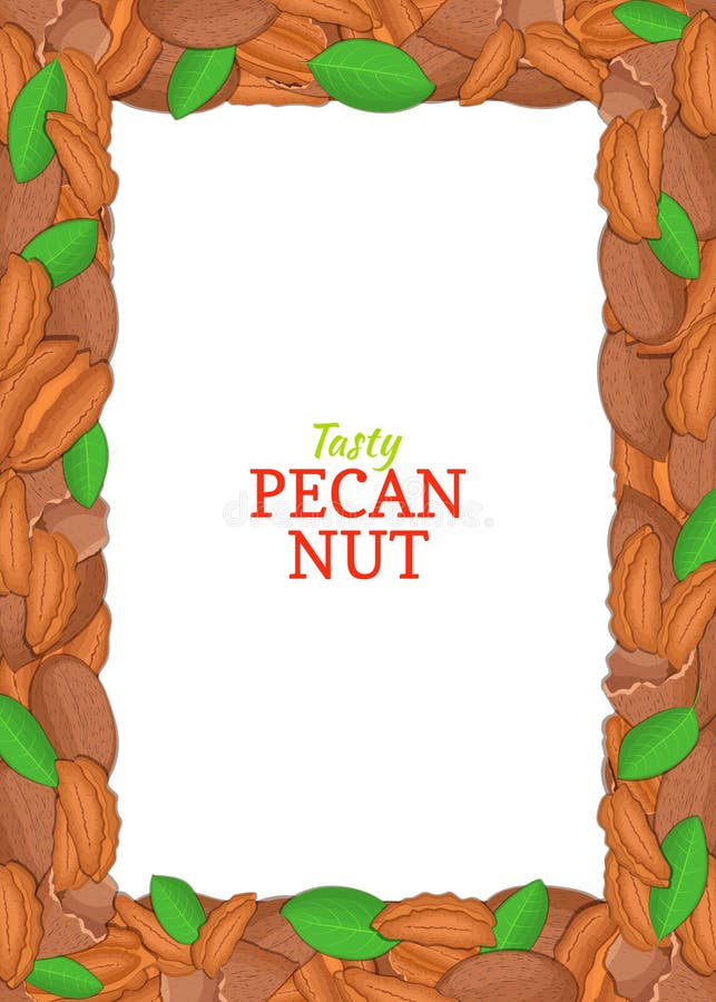 Vertical Colored Frame Composed of Different Nuts Stock Illustration ...