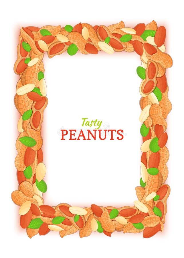 Peanut Nut Vertical Seamless Border. Vector Illustration with ...