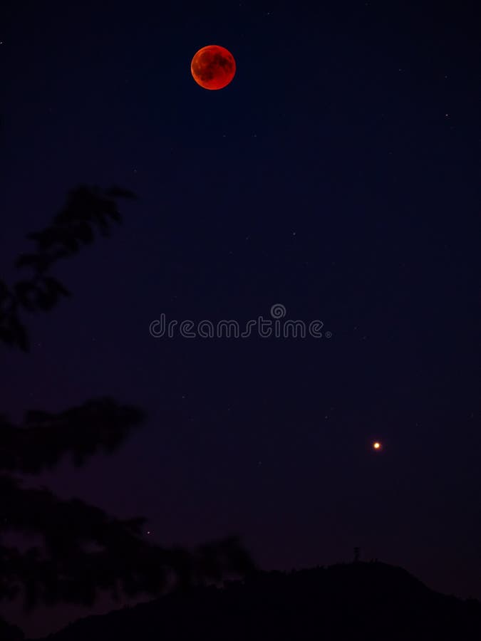 Vertical Red Full Moon Blood Moon and Planet Mars As a Big Star Stock ...