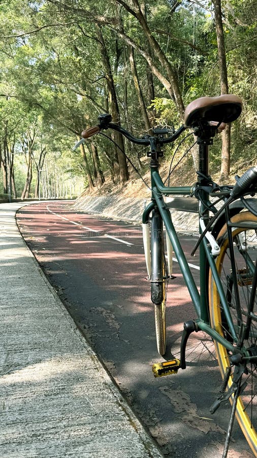 Vertical Retro Bike on the Bicycle Lane during the Daytime Stock Photo - Image of daytime, lane ...