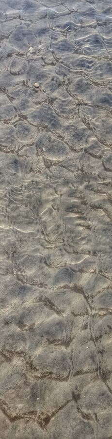 Vertical ripples stock image. Image of tidal, ripples - 79215381