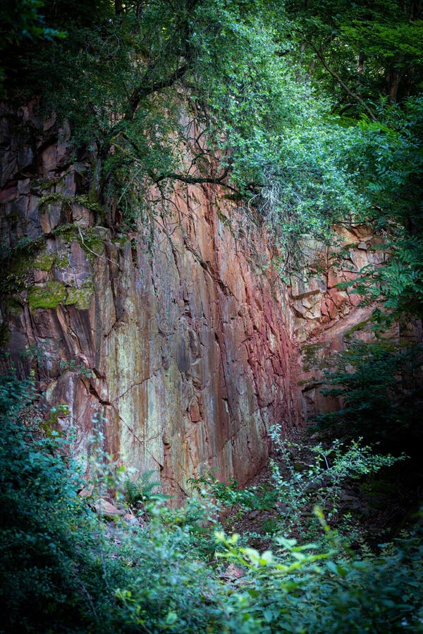 Vertical of the Rough Surface of a Cliff Seen between the Green ...