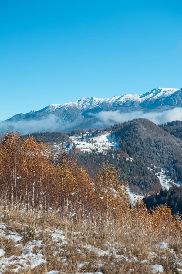 Vertical Scenery of a Valley with the Mountains Covered in Snowy ...
