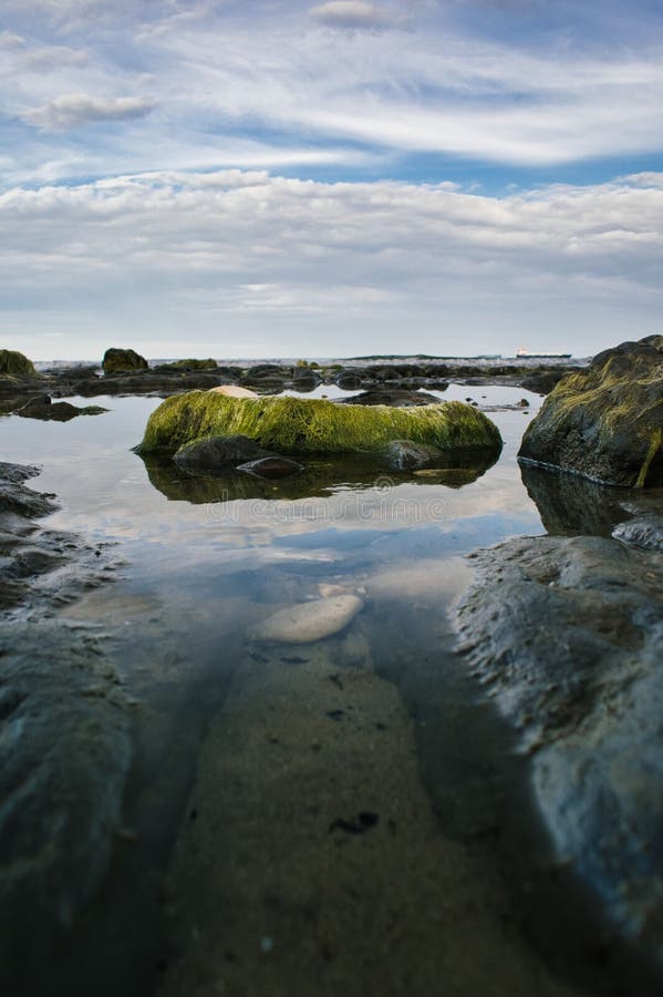 Vertical Scenic View of the Algae-covered Rocks in the Water Under the ...