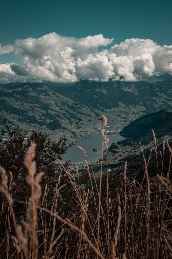 Vertical Scenic View from Rigi Scheidegg To the Lake in the Mountains ...
