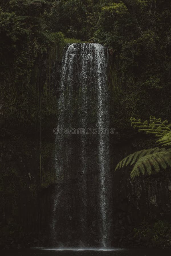Vertical Scenic View of Waterfall Flowing in Dark Forest Stock Photo ...