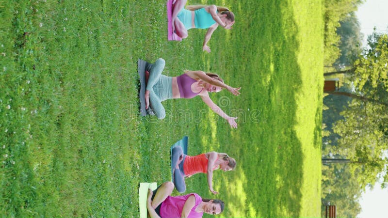 Vertical Screen: Diverse Group of People Doing Stretching Exercises ...