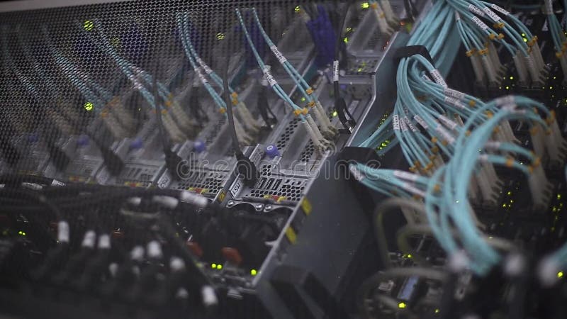Vertical Screen: Romantic Moments at Family Picnic in Field Stock ...