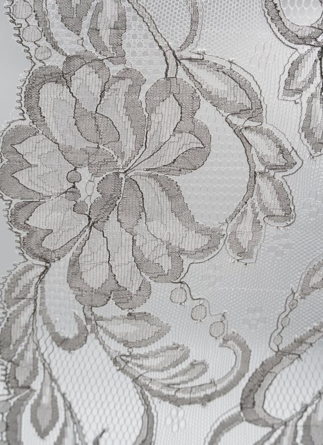 Vertical Seamless Lace on a White Background. Stock Image - Image of ...