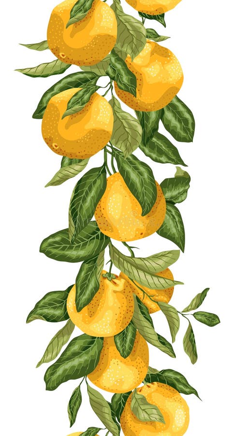 Vertical Seamless Pattern with a Line Made of Orange Fruit Tree Stock ...
