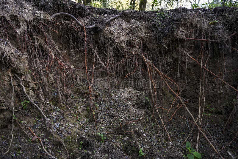 Vertical Red Soil Brick Background Wallpaper Texture Stock Photo ...