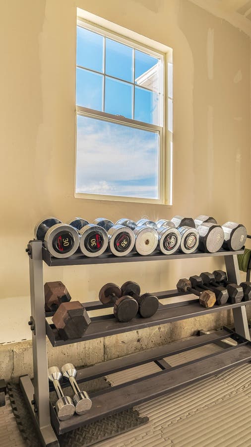 Vertical Selection of Free Weights for Weightlifting in Garage Stock ...
