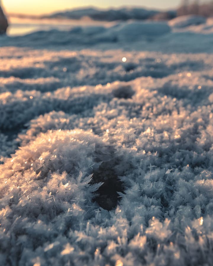 Vertical Selective Focus of Ice Pellets that Covered the Whole Ground ...