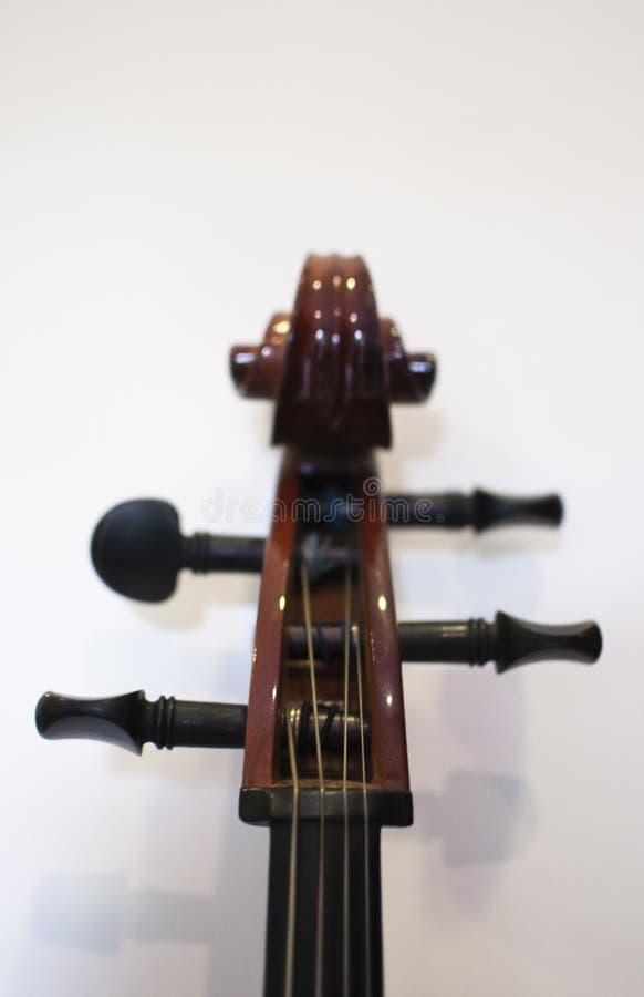 287 Cello Pegbox Stock Photos - Free & Royalty-Free Stock Photos from ...