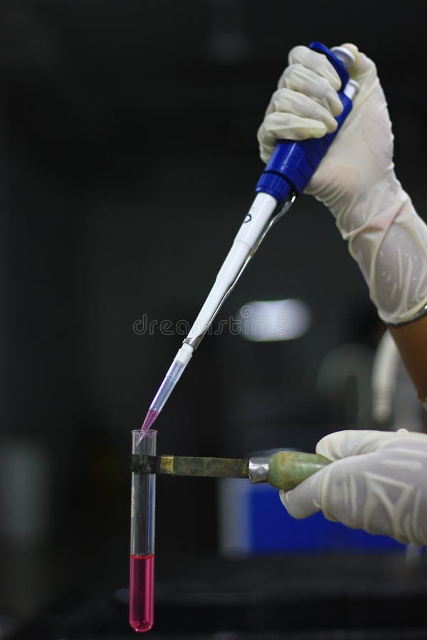 Vertical Selective Focus Shot of a Scientist Micro Pipetting a Red ...