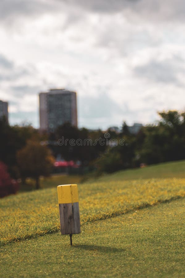 Vertical Shallow Focus Shot of Short Wooden Pole-like Object in the ...