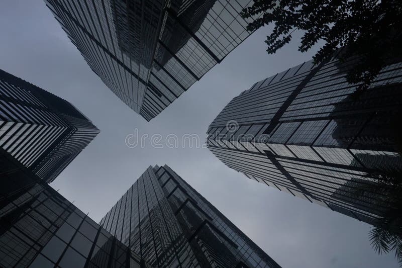 Vertical shoot stock image. Image of architecture, skyline - 274330073