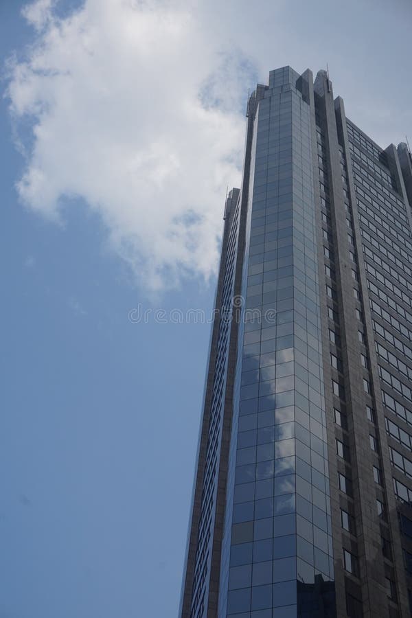 Vertical shoot stock photo. Image of perspective, structure - 274330192