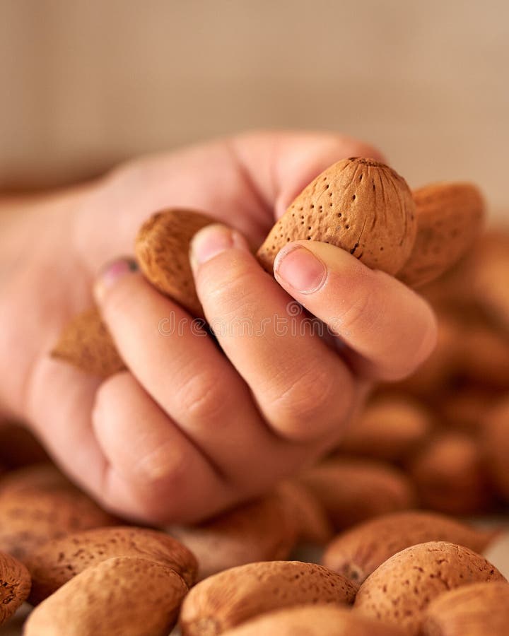 Vertical Shot of Almond Nuts on Human Hand. Stock Image - Image of ...