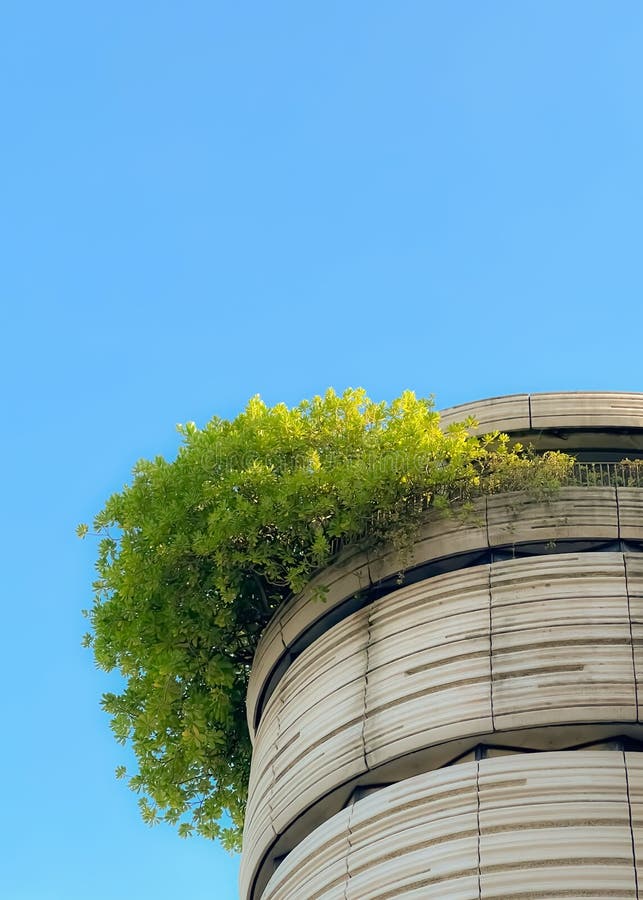 Vertical Shot of Architectural Building of Nanyang Technological ...