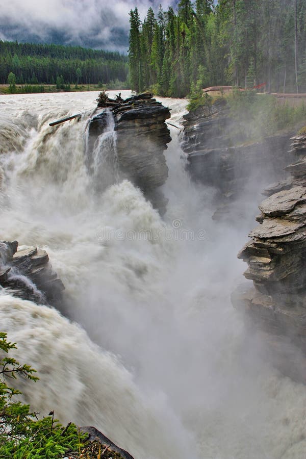 Vertical Shot of the Athabasca Falls Near Cliffs and Green Trees ...