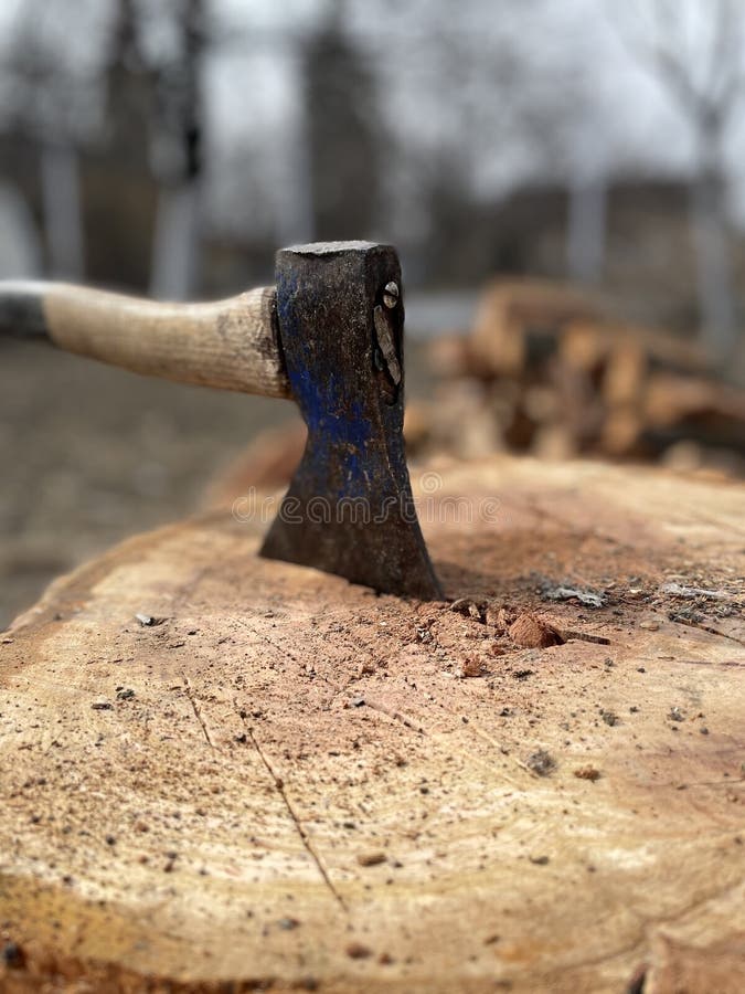 Vertical Shot of an Ax in a Wood Stump. Stock Photo - Image of nature ...