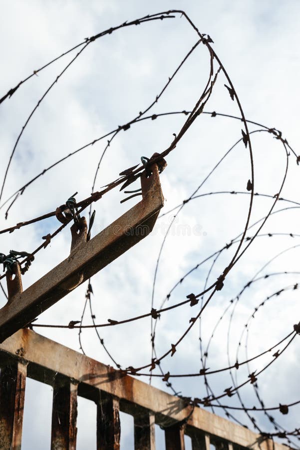 Vertical Shot of Barbed Wire Stock Image - Image of vertical, wire ...