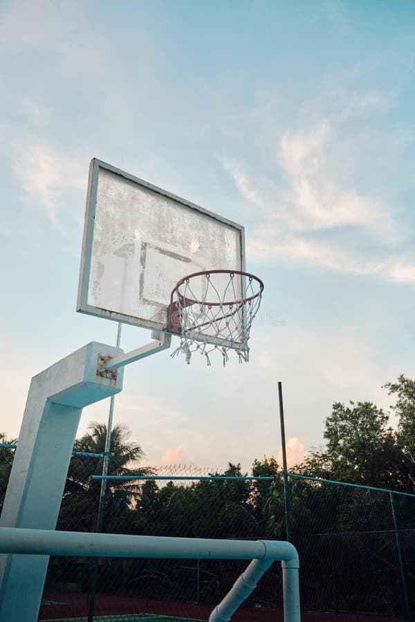 Vertical Shot of a Basketball Rack in a Court Surrounded by Trees Stock ...