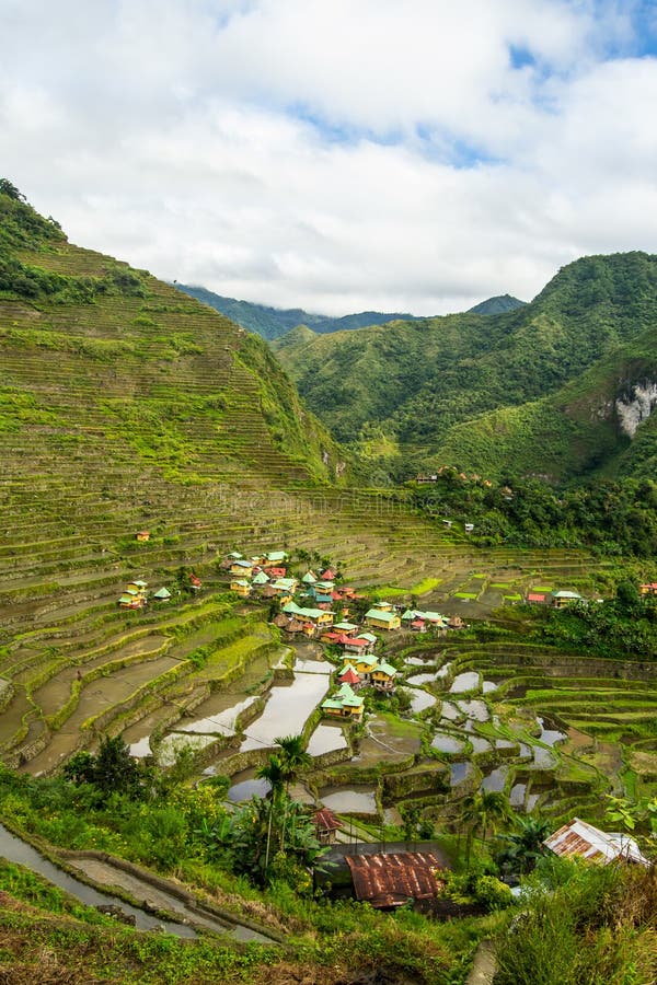 Vertical Shot of Batad Rice Terraces, Luzon, Philippines Stock Photo ...