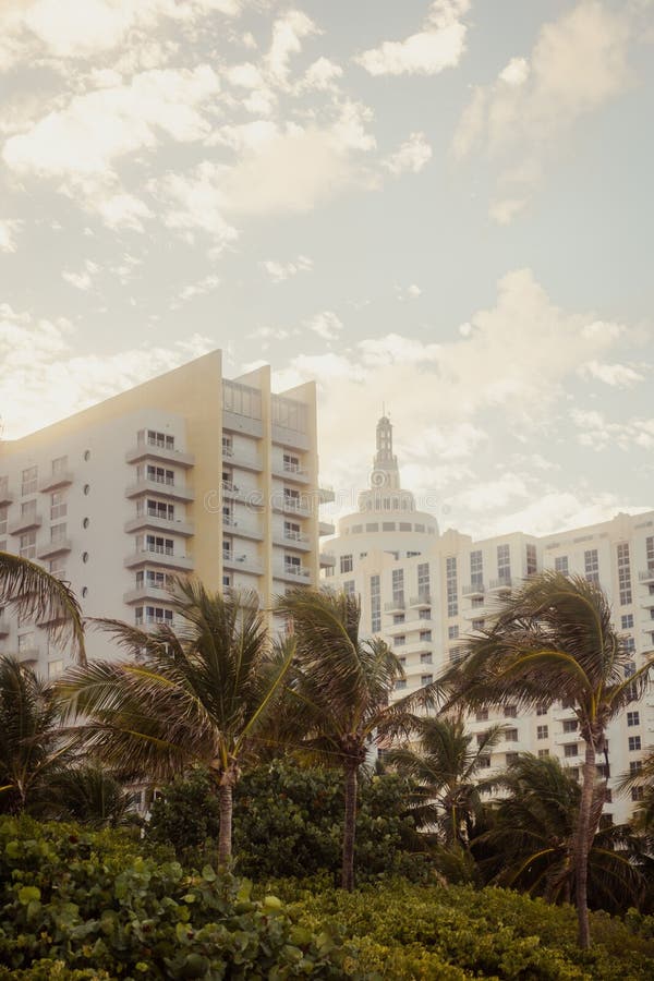 Vertical Shot of the Beautiful Architecture of Miami, USA, on a Sunny ...