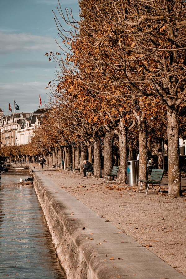 Vertical Shot of a Beautiful Boardwalk in the Fall in Luzern ...