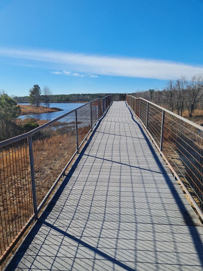 Vertical Shot of a Beautiful Bridge Above the Lake Stock Image - Image ...