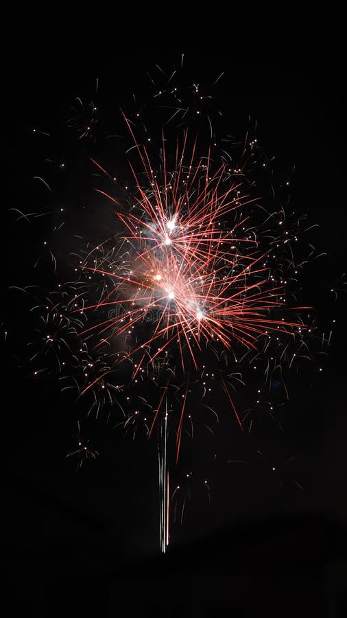 Vertical Shot of Beautiful Bright Firework Glowing in a Dark Night Sky ...