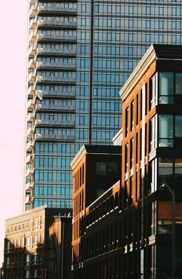 Vertical Shot of Beautiful Buildings Shining Under the Sunrays - Great ...