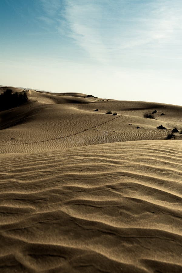 Vertical Shot of a Beautiful Desert Landscape with Sand Dunes in Dubai ...