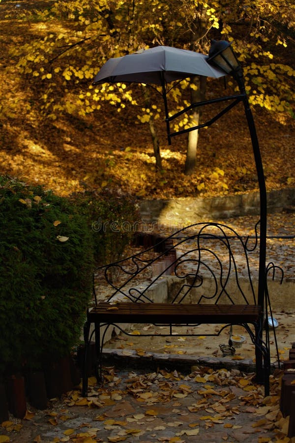Vertical Shot of a Beautiful Empty Bench in a Park Stock Photo - Image ...