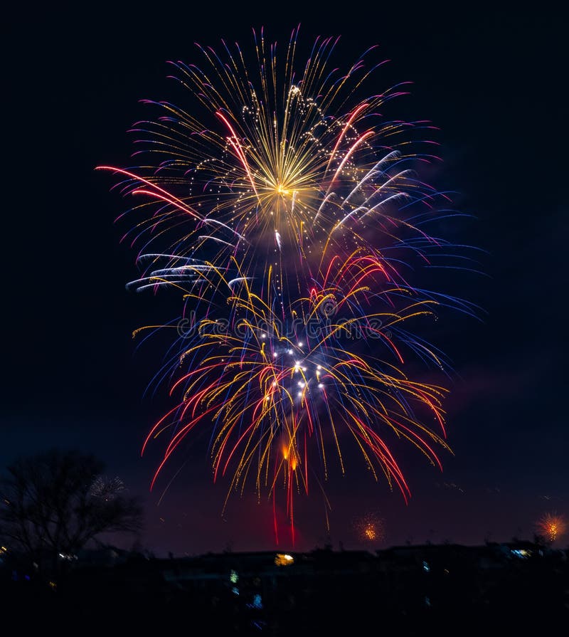 Vertical Shot of Beautiful Exploding Fireworks in the Night Sky in ...