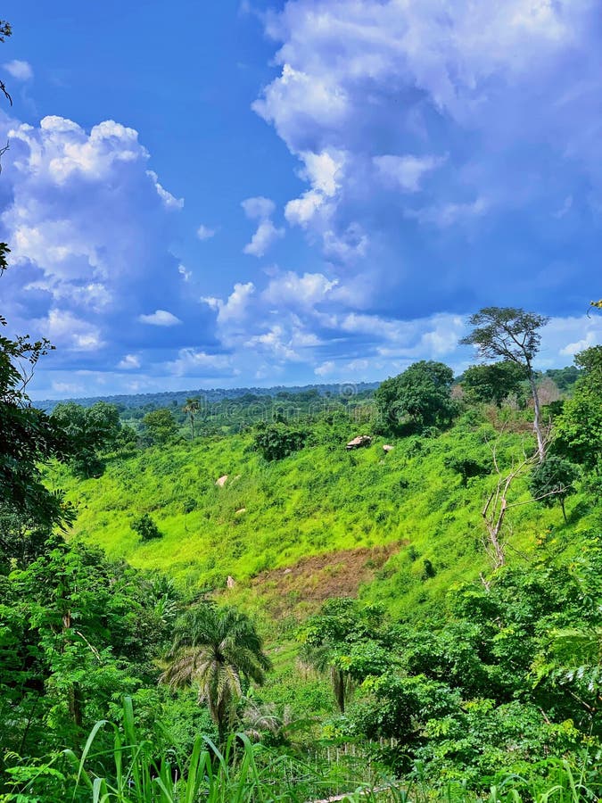 Vertical Shot of a Beautiful Green Landscape in Ghana Stock Image ...