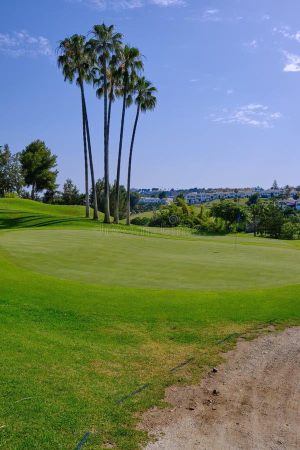Vertical Shot of a Beautiful Green Park with Different Types of Trees ...
